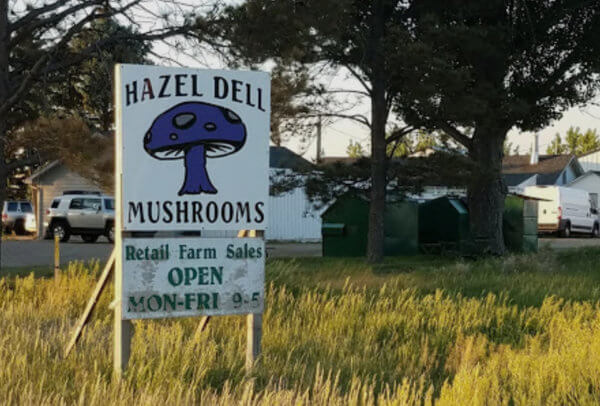 Hazel Dell Mushrooms - Ginger and Baker