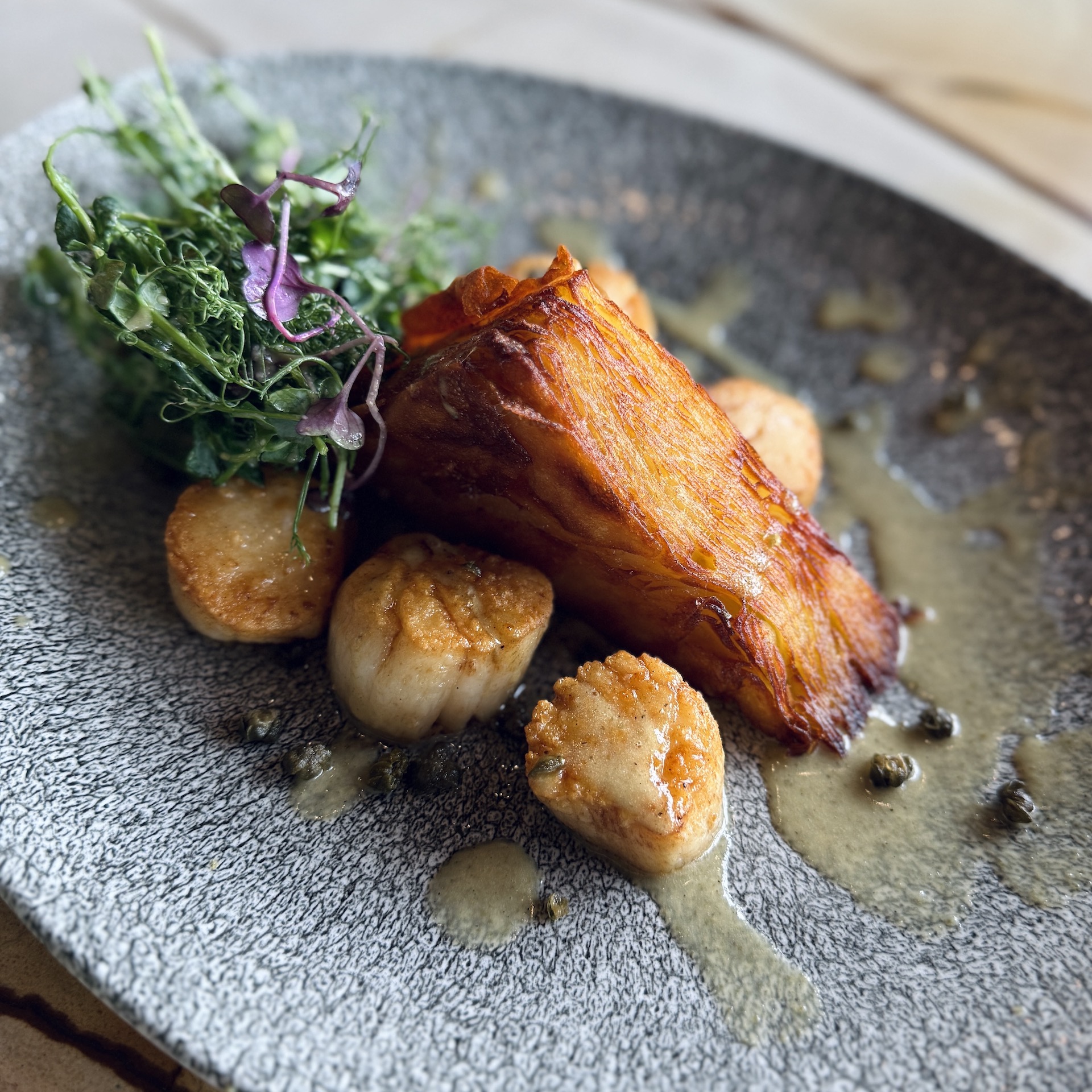 Cache summer scallops 2025 - Ginger and Baker